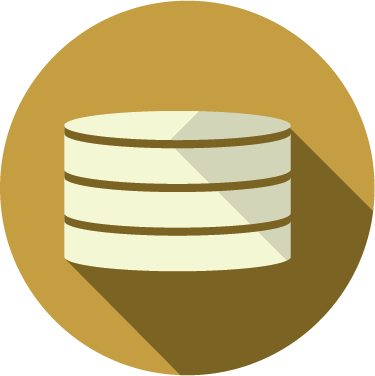 Customer Master Data & Master Records