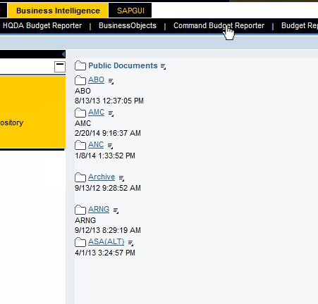 Access a BEx Report - Select a BI BEx Role